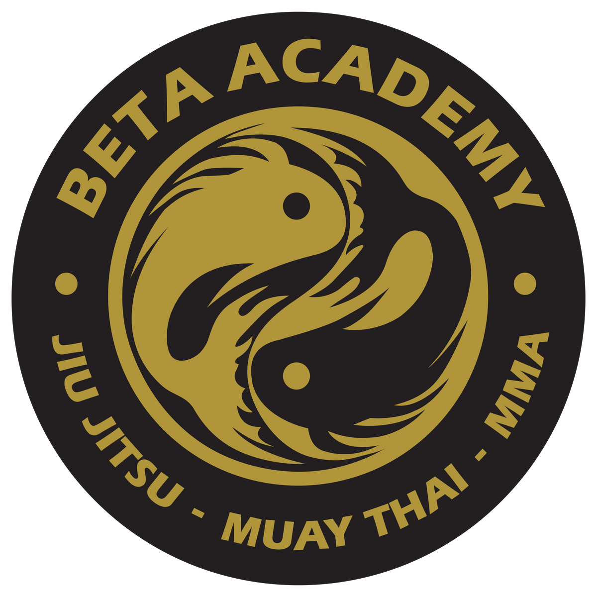 BETA Academy DC